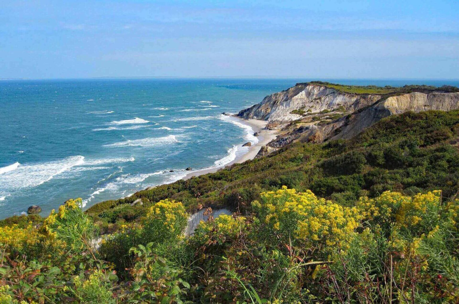 Martha’s Vineyard Whale Watching Guide