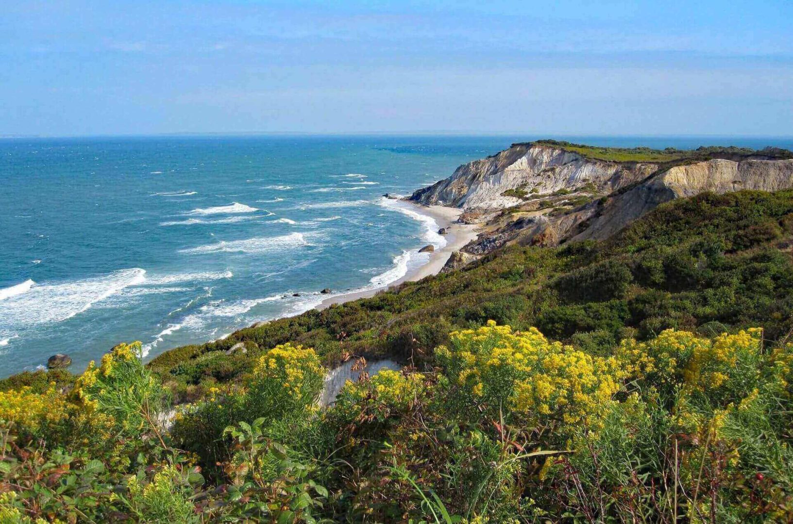 Martha’s Vineyard Whale Watching Guide